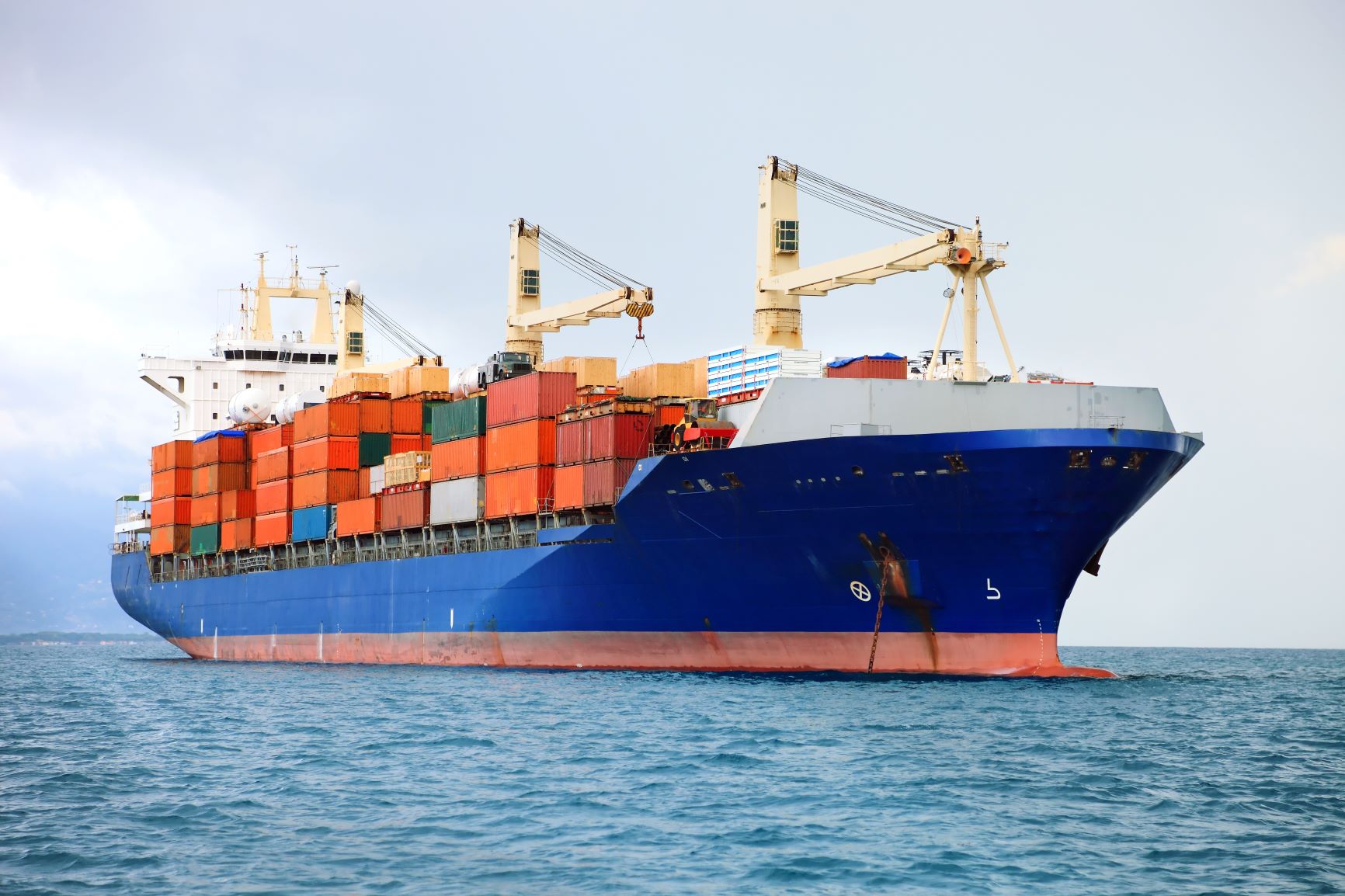 Import / export license - Business Level Import / export license - Business Level